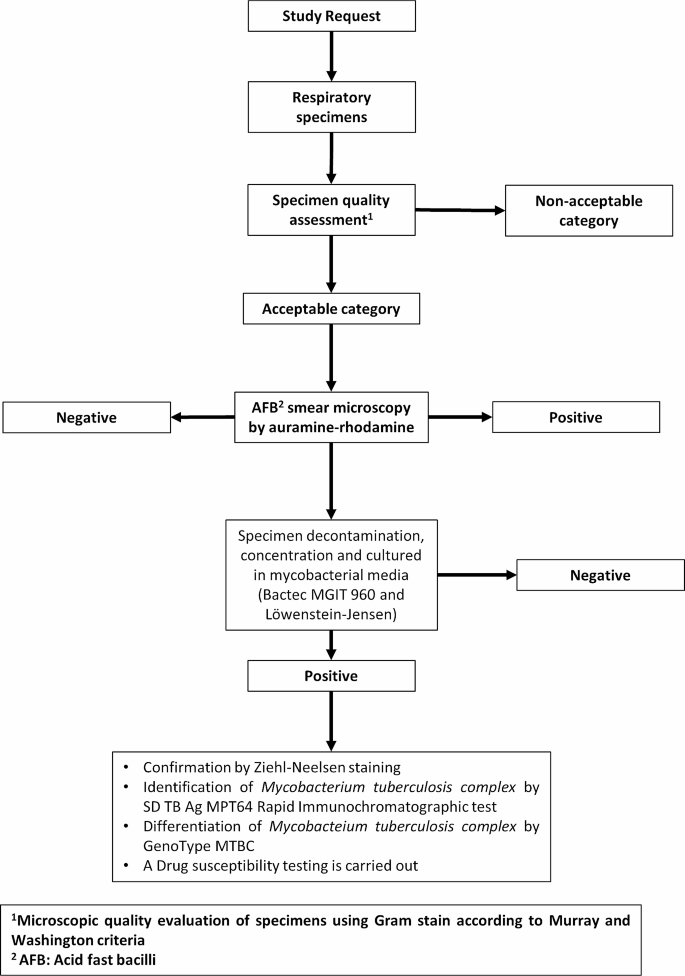 Abbott realtime MTB assay for detecting Mycobacterium tuberculosis ...