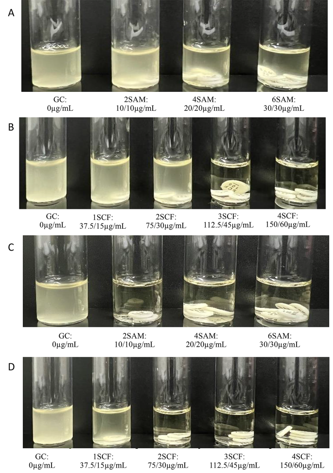Evaluation of the in vitro activity of ampicillin-sulbactam and ...
