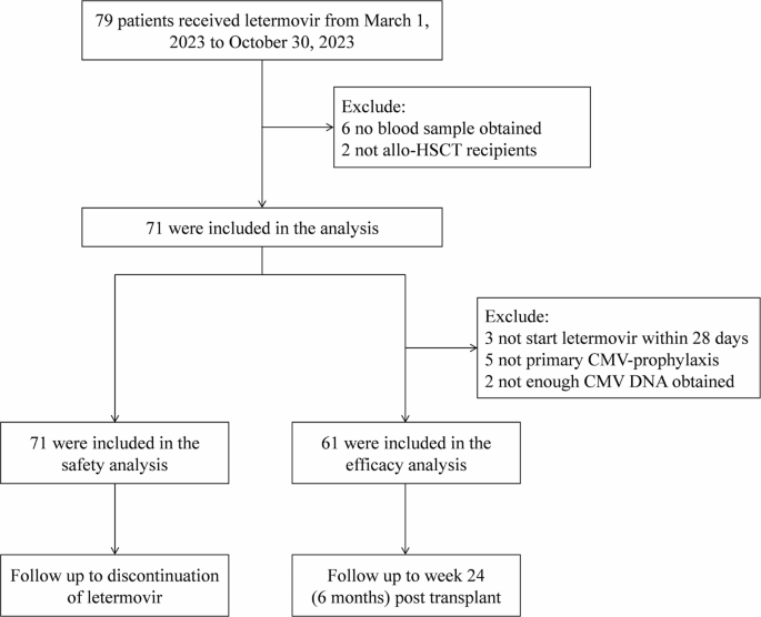 Role of letermovir therapeutic drug monitoring for cytomegalovirus ...