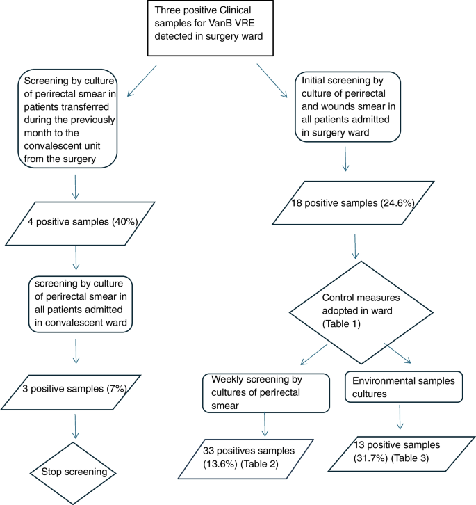 Description of an Enterococcus faecium genotype vanB outbreak in a ...