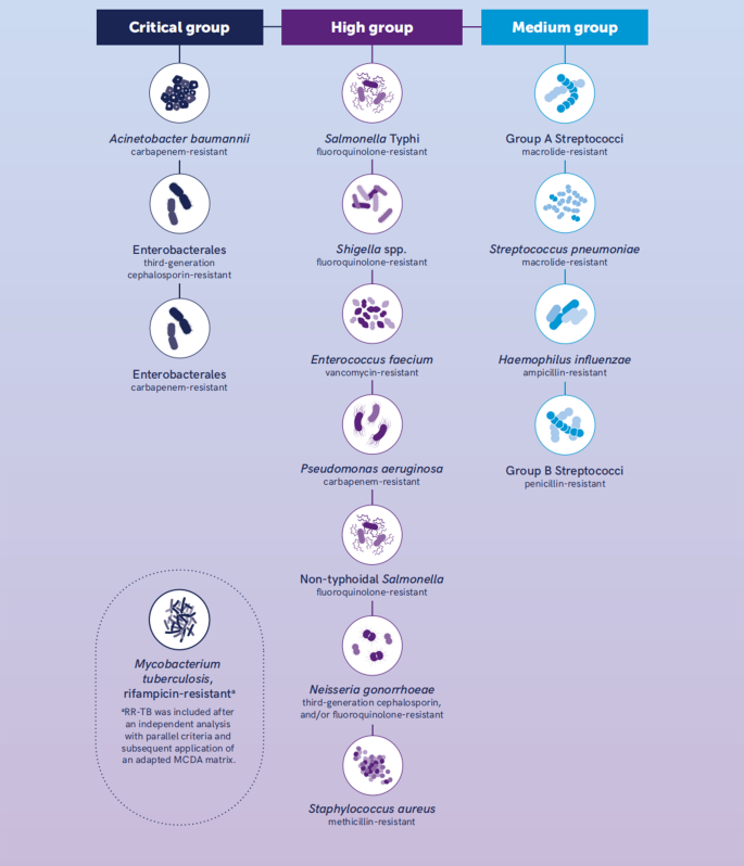 Advances in the detection of Drug-Resistant bacteria: current trends ...