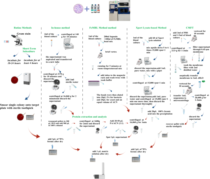 Clinical application of MALDI-TOF MS for direct and rapid pathogen ...