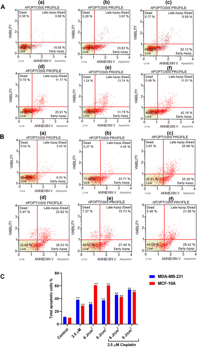 The therapeutic efficacy of 5-ALA based photodynamic therapy and ...