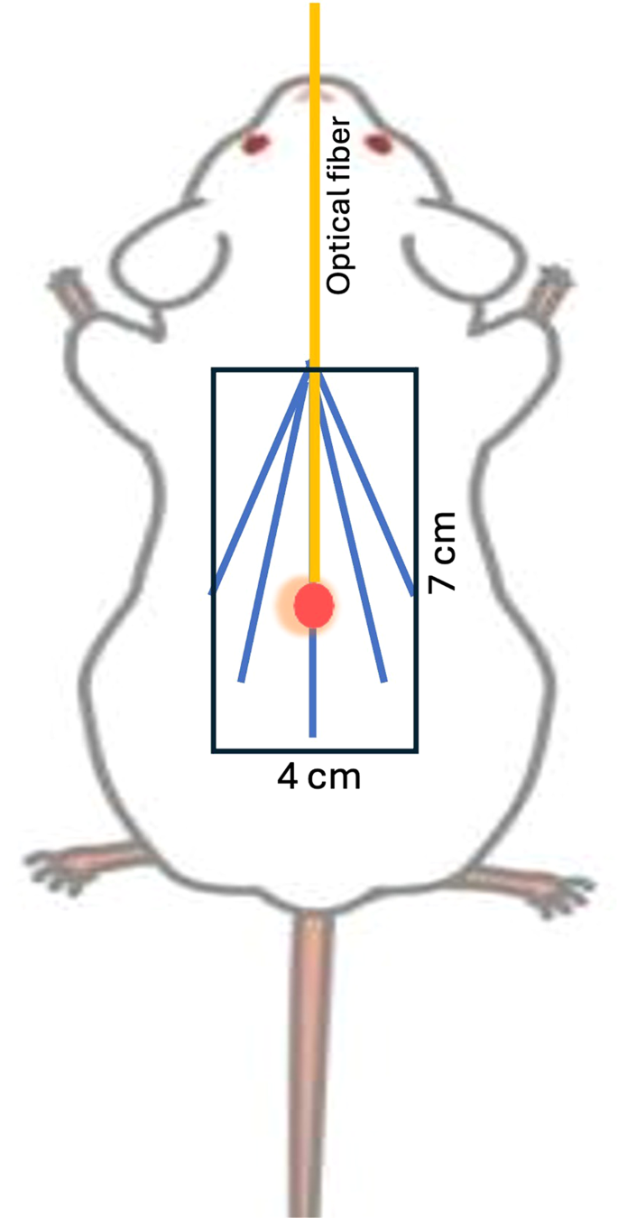 Evaluation of the photothermal effects of the subdermal high-power ...