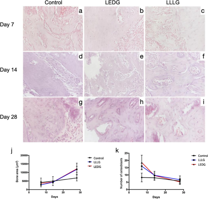 Photobiomodulation of alveolar bone healing in rats with low-level ...
