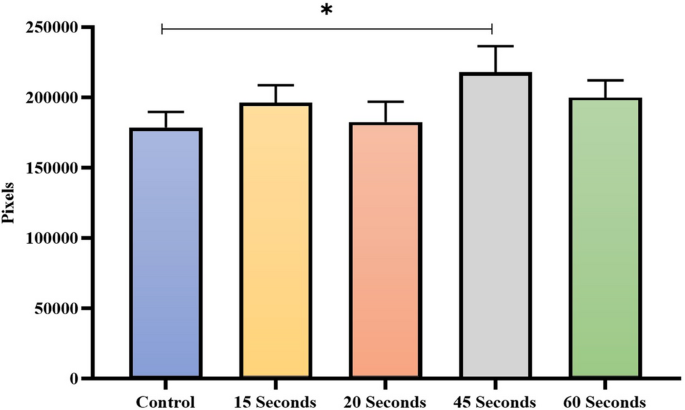 The effect of different time intervals of diode laser irradiation on ...