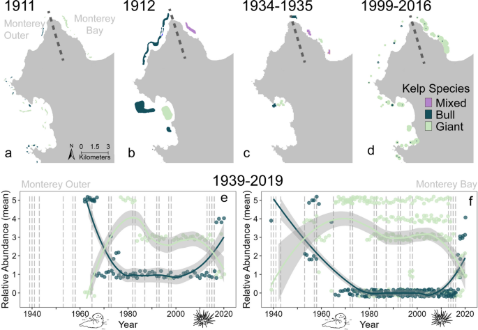 Setting deeper baselines: kelp forest dynamics in California over ...