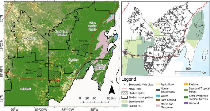 Local perspectives and institutional bricolage around conservation and ...