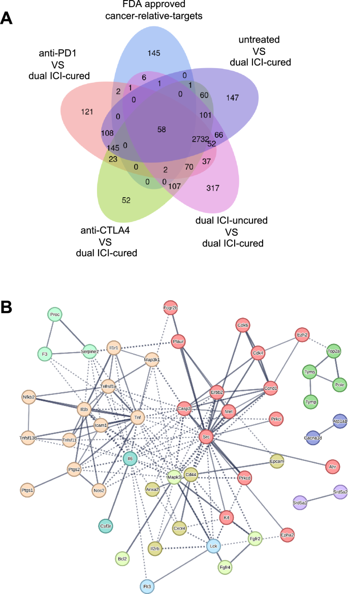 Janus kinase inhibitor overcomes resistance to immune checkpoint ...