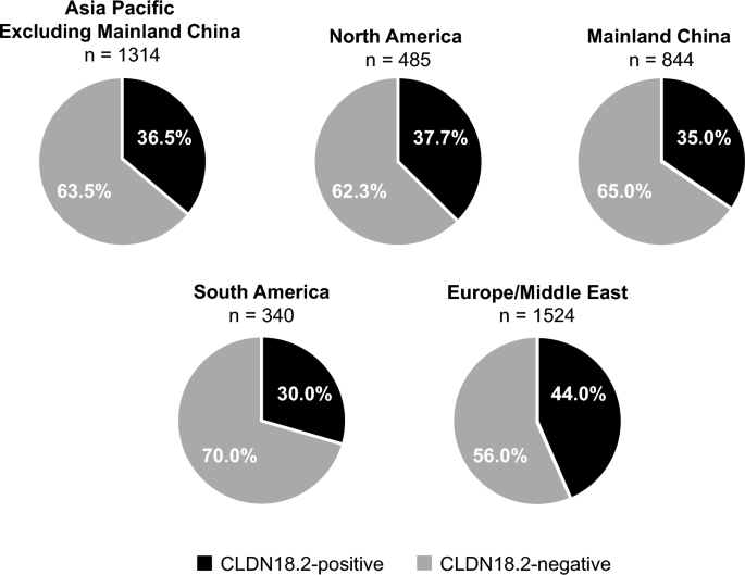 Global prevalence of claudin 18 isoform 2 in tumors of patients with ...