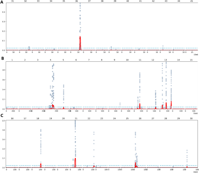 Genomic Identification and Validation of Candidate Genes Associated ...