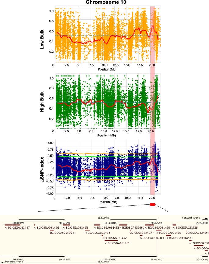 QTL-seq identifies genomic region associated with the crown root ...