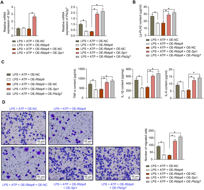 The role of lipoprotein‑associated phospholipase A2 in inflammatory ...