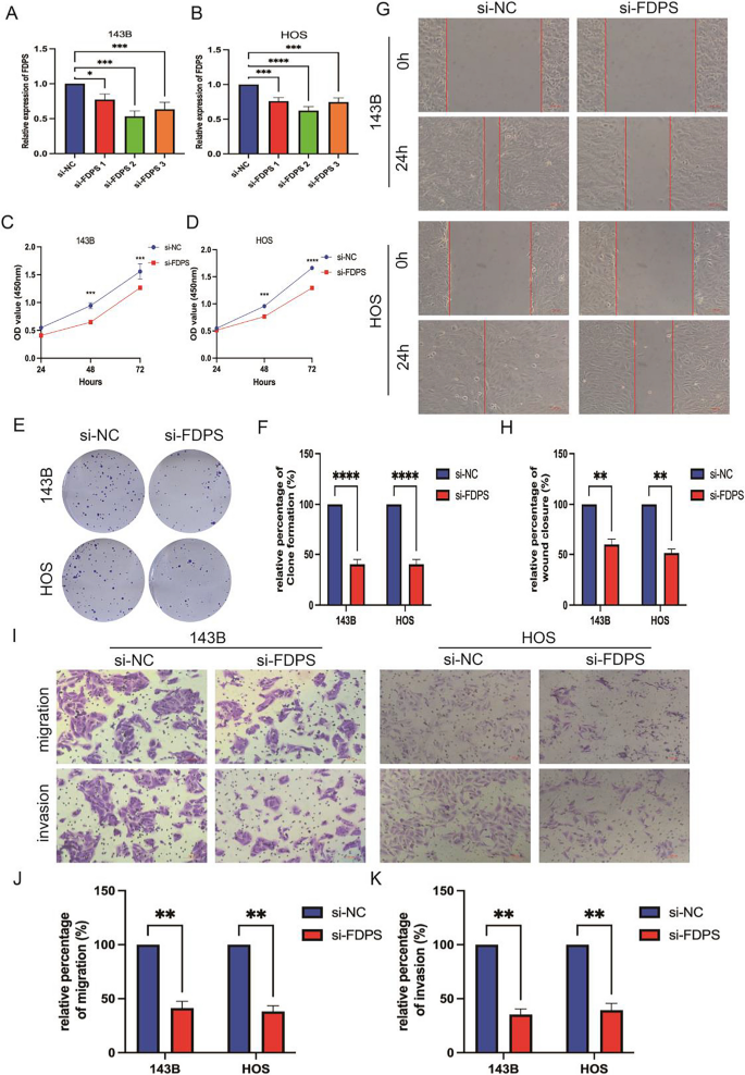 Correction to: Integrative single-cell and bulk RNA-seq analysis identifies lactylation-related ...