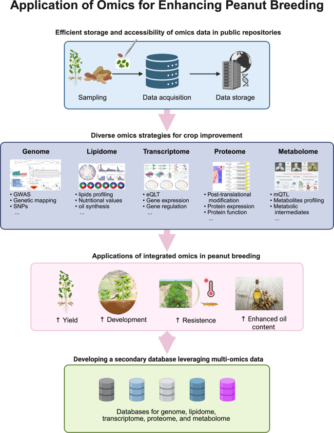 Integrative genomics and genetics from evolutionary insights to ...