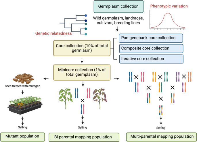Next-generation translational genomics for developing future crops ...