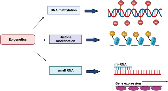 Epigenetics in forest trees- key driver to phenotypic plasticity and ...