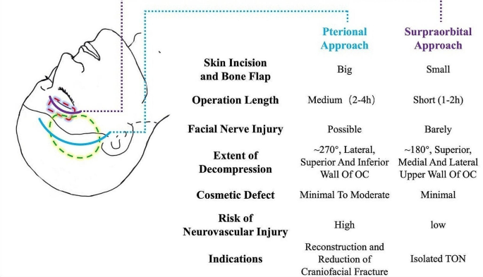 Optic nerve decompression through pterional and supraorbital approaches ...