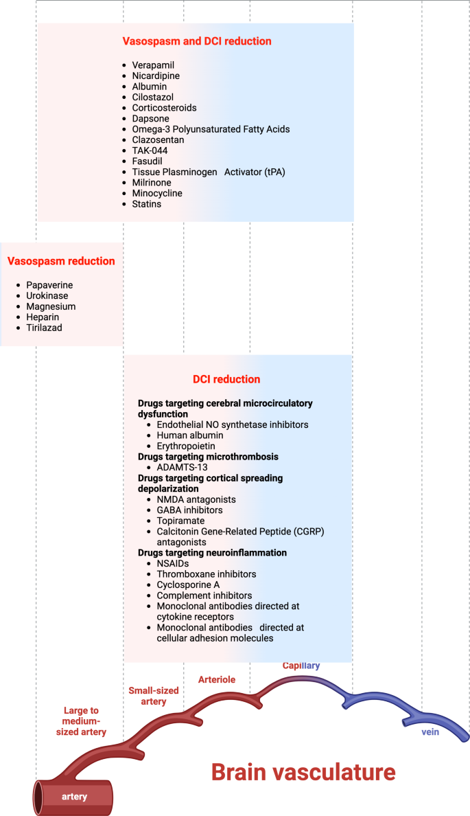 Beyond nimodipine: advanced neuroprotection strategies for aneurysmal subarachnoid hemorrhage ...