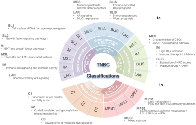 Future perspective of clinical usefulness of metabolic and ...