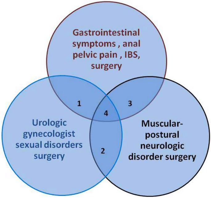 Evaluation and management of chronic anorectal and pelvic pain syndromes: Italian Society of ...