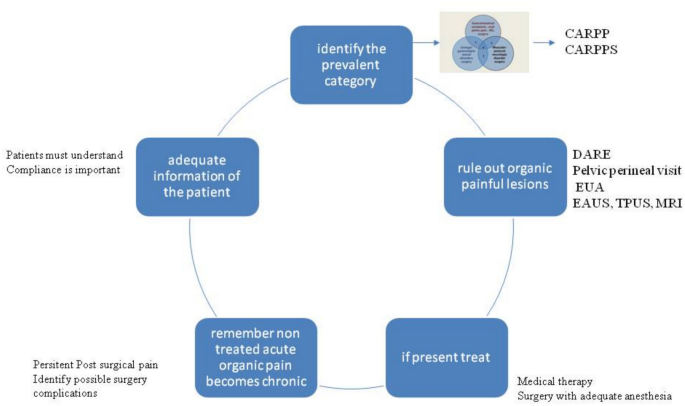 Evaluation and management of chronic anorectal and pelvic pain ...