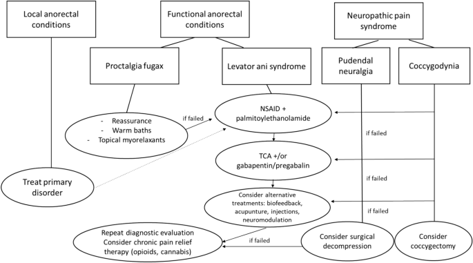 Evaluation and management of chronic anorectal and pelvic pain ...