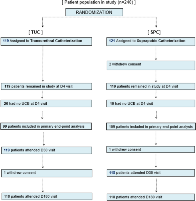 Suprapubic versus transurethral catheterization for bladder drainage in ...