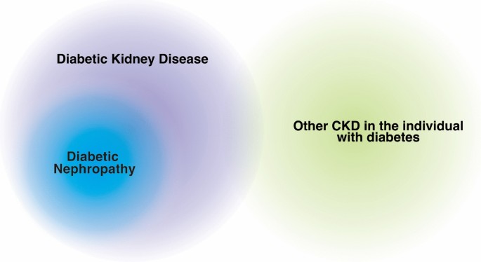 Diabetic kidney disease: the kidney disease relevant to individuals ...