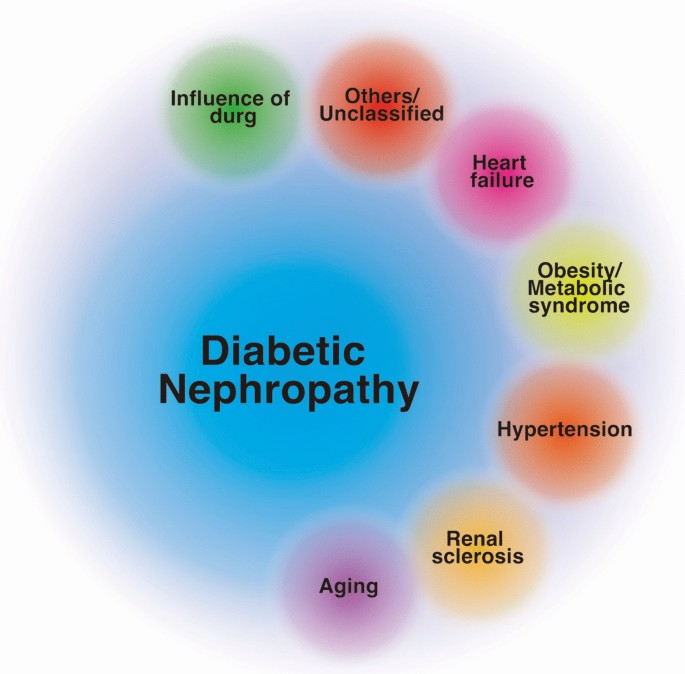Diabetic kidney disease: the kidney disease relevant to individuals ...