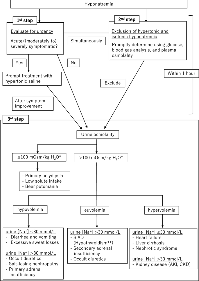 Pathophysiology, symptoms, outcomes, and evaluation of hyponatremia ...