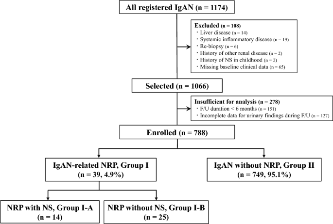 Clinical factors associated with long-term renal outcomes in Japanese ...