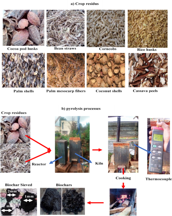 Production and characterization of eight biochars originating from ...