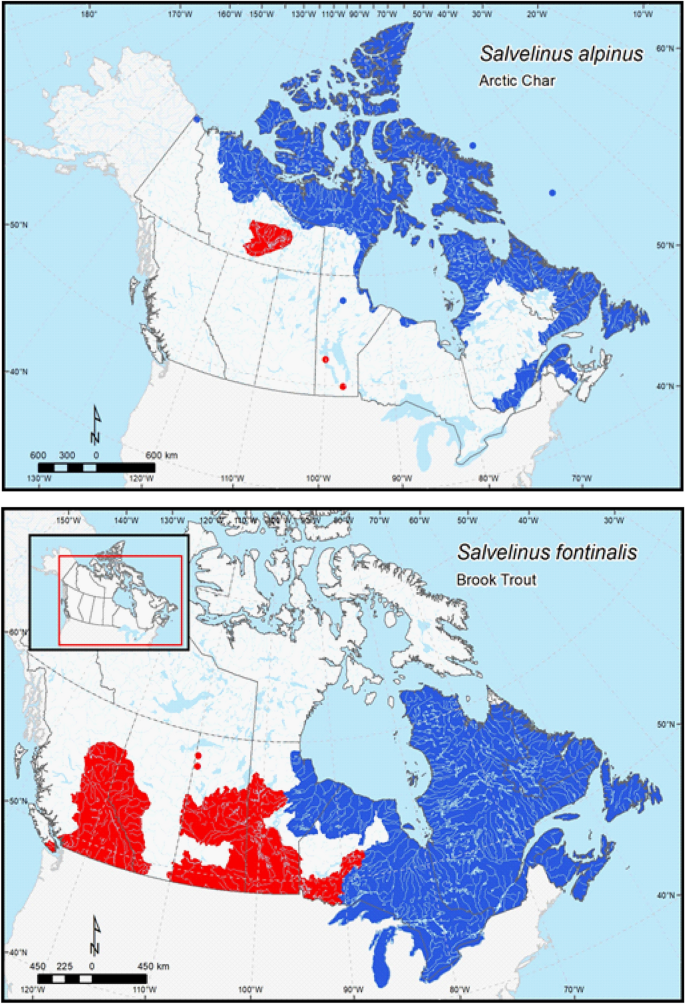 Climate change and Arctic charr (Salvelinus alpinus) in North America ...