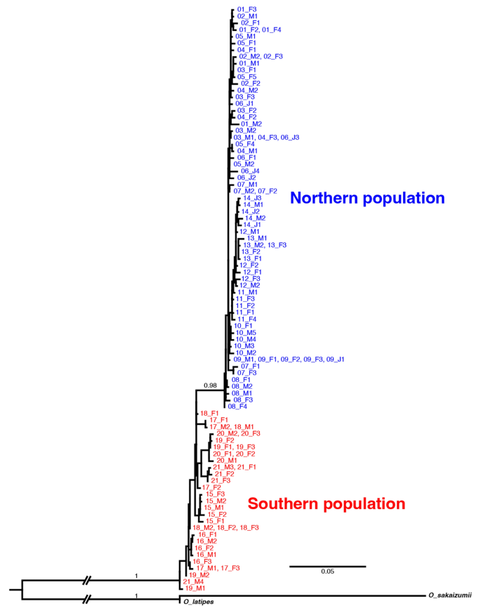 Population structure of the western Indian endemic medaka, Oryzias ...