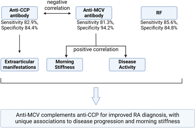 Diagnostic utility and clinical relevance of anti-MCV and anti-CCP ...