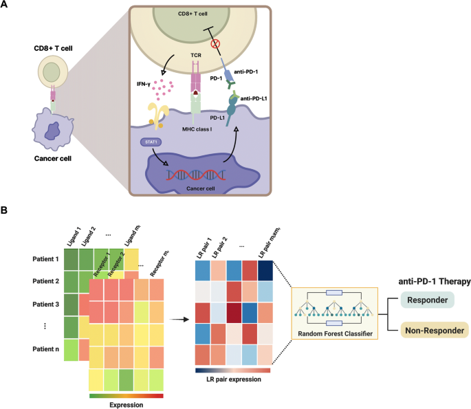 Ligand–receptor interaction profiling as a predictive biomarker for ...
