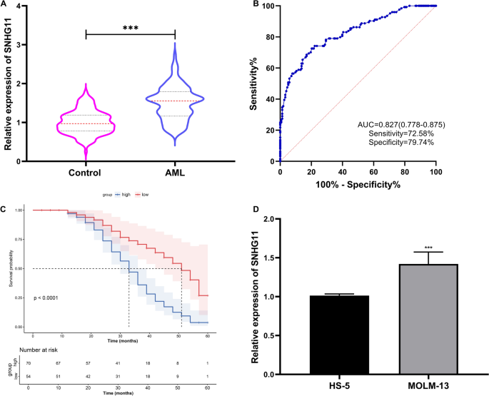 LncRNA SNHG11 expression in acute myeloid leukemia patients and its ...