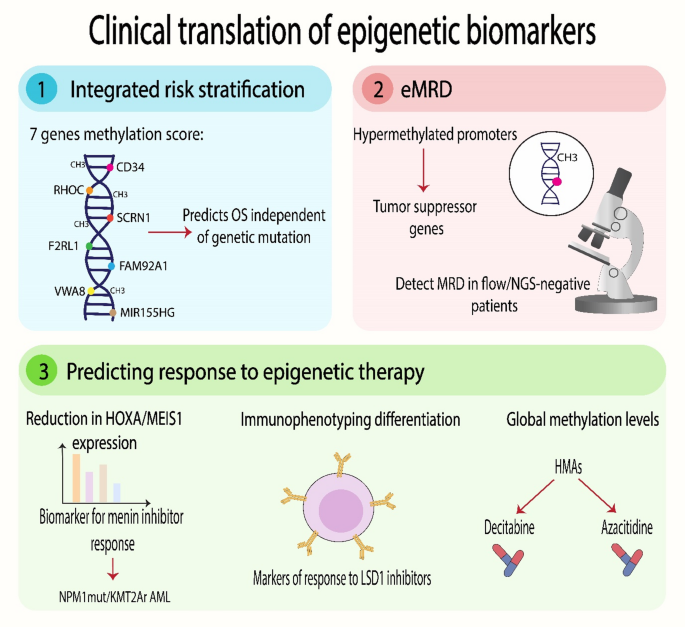 Beyond the DNA sequence: mapping the dynamic epigenetic landscape for ...