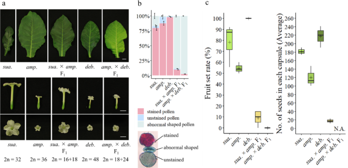 High-fertility individuals observed in the progeny of low-fertility ...