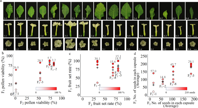 High-fertility individuals observed in the progeny of low-fertility ...