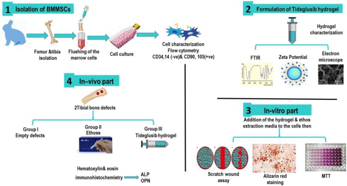 Injectable GSK3 inhibitor (Tideglusib) hydrogel versus enhanced β ...