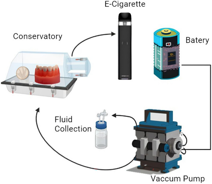 Experimental in vitro simulation of the impact of e-cigarette vapors on ...