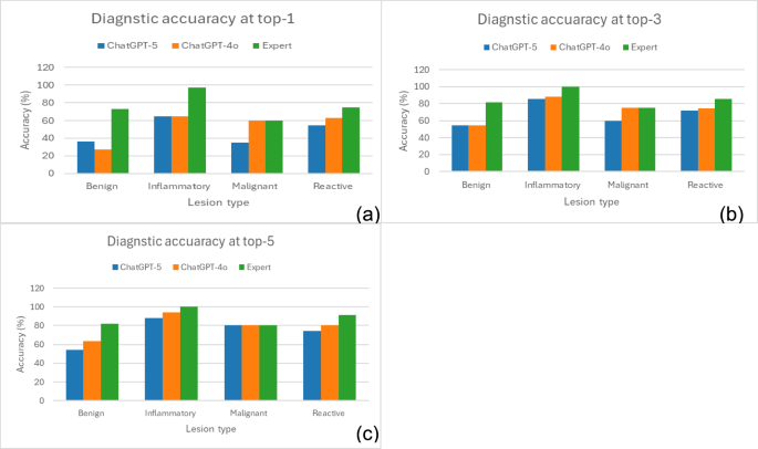 ChatGPT-5 vs oral medicine experts for rank-based differential diagnosis of oral lesions: a ...