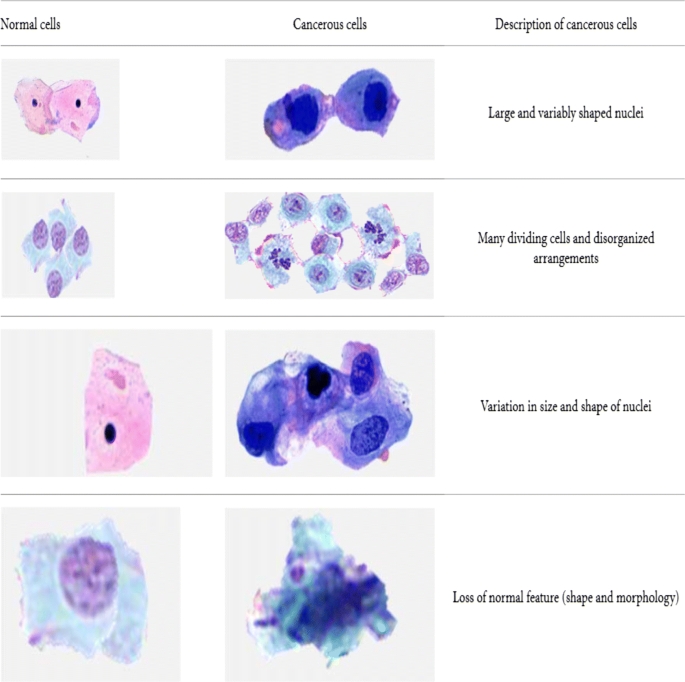 Computer-Aided Histopathological Image Analysis Techniques for ...