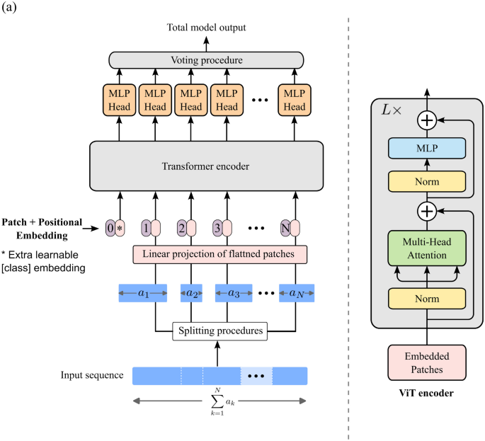 Predicting EGFR Status After Radical Nephrectomy or Partial Nephrectomy ...
