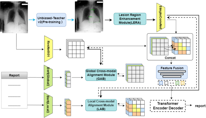 From Detection to Radiology Report Generation: Fine-Grained Multi-Modal ...