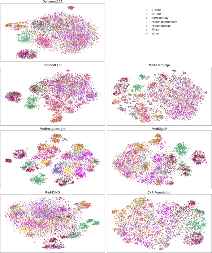 From Embeddings to Accuracy: Comparing Foundation Models for ...