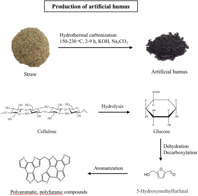 Synthesis of artificial humus by hydrothermal carbonization and ...