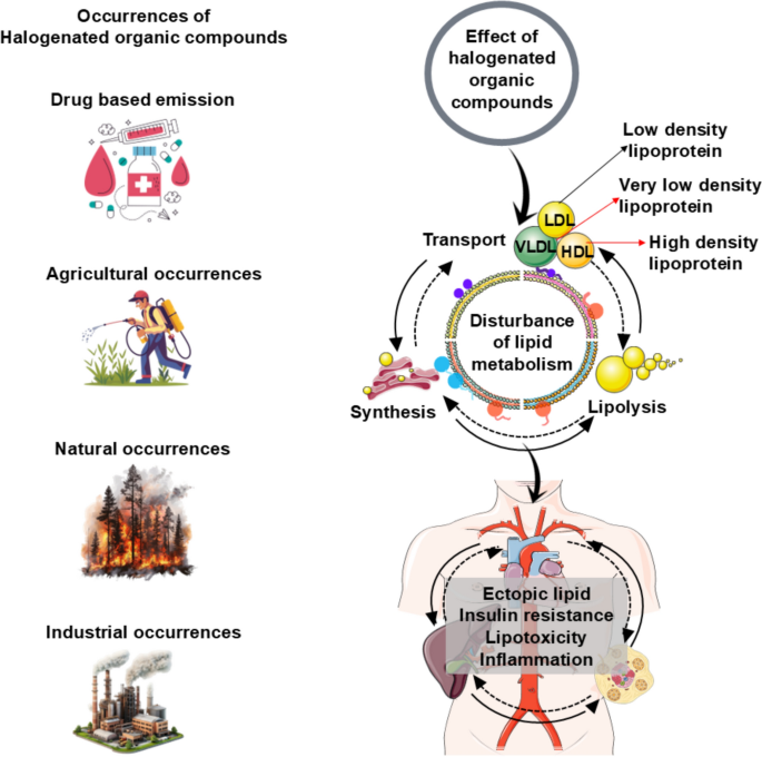 Microbial dehalogenation of halogenated organic pollutants: a review ...